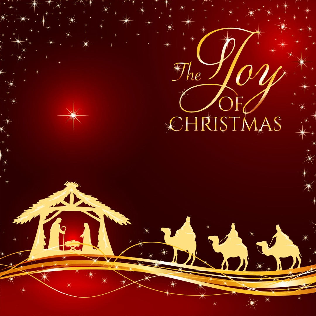 Christmas Joy Christmas Cards (Pack Of 10) — Aslan Christian Books
