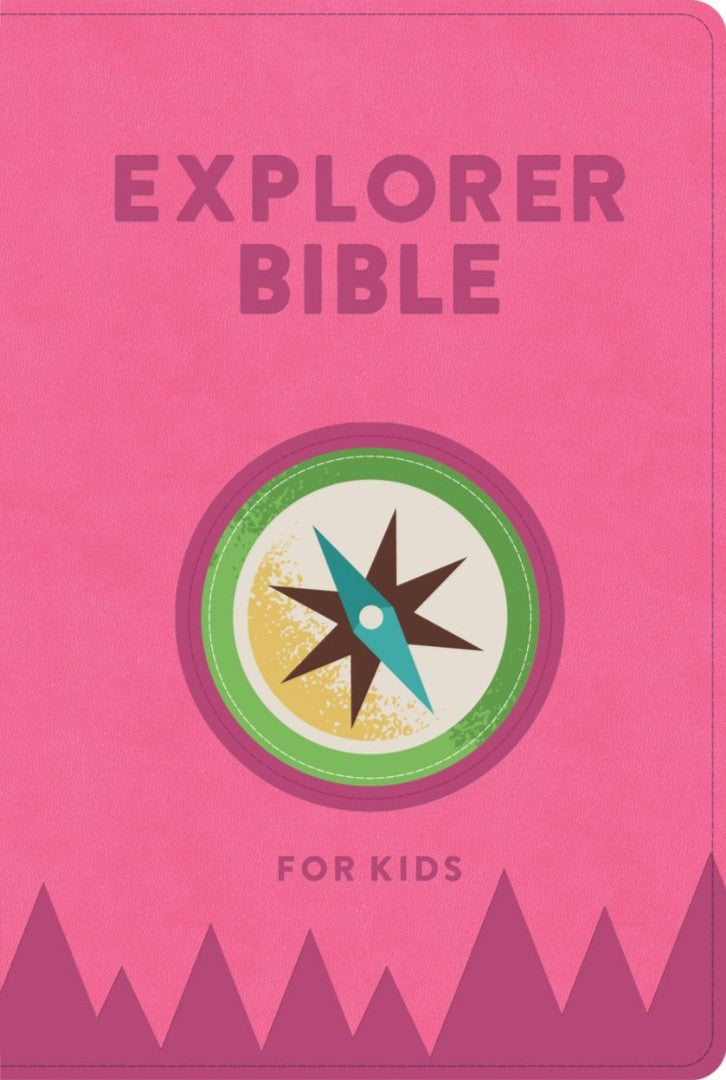 KJV Explorer Bible For Kids, Bubble Gum Leathertouch — Aslan Christian ...