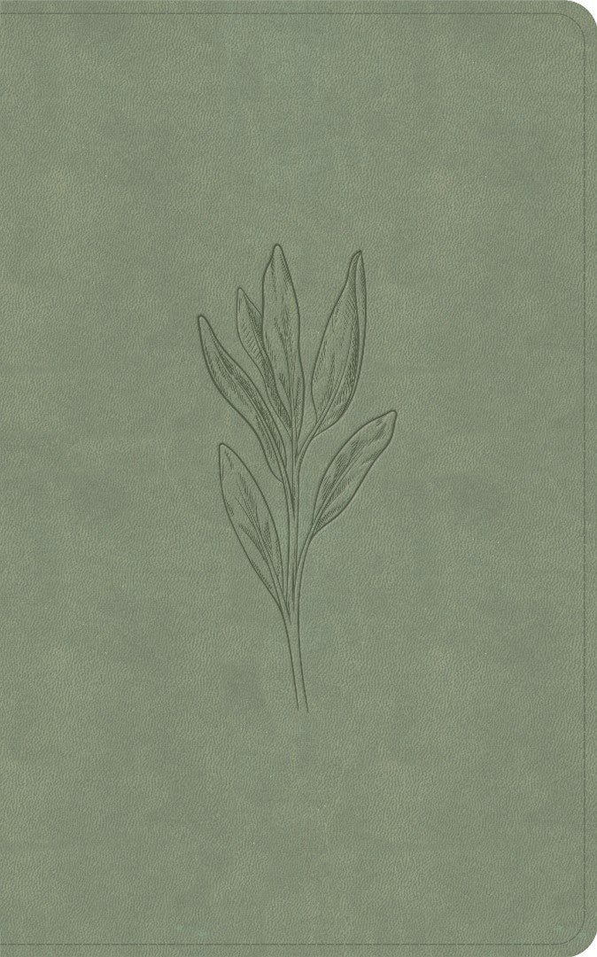 KJV Single-Column Personal Size Bible, Sage Suedesoft — Aslan Christian ...