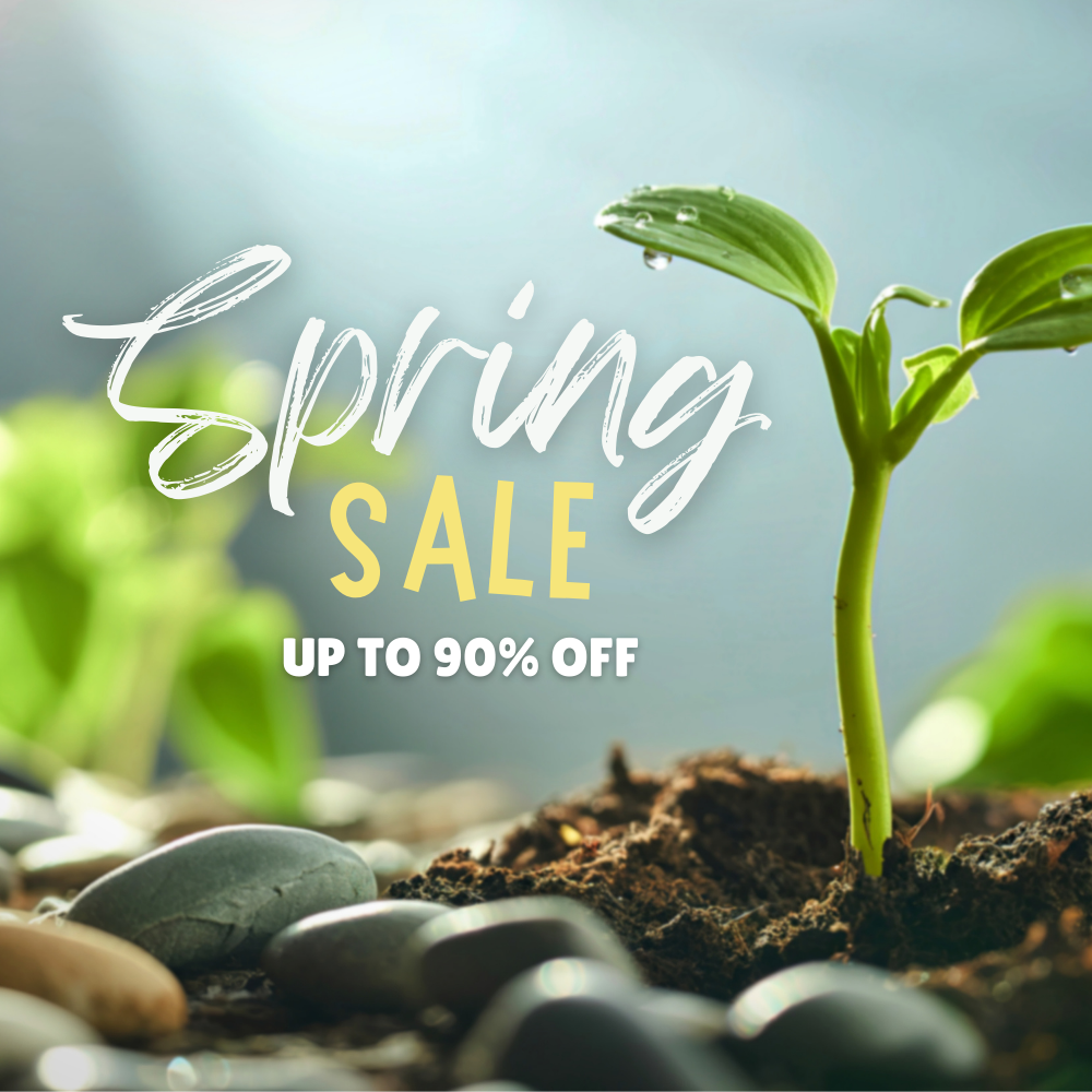 Aslan Savings — Aslan Christian Books