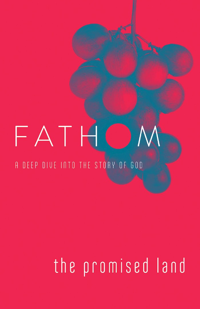 Fathom Bible Studies: The Promised Land Student Journal — Aslan ...