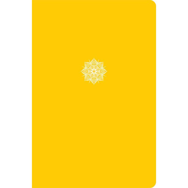 CSB Everyday Study Bible, Yellow Color-Pop, Global — Aslan Christian Books