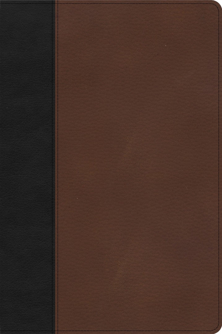 CSB Large Print Thinline Bible, Black/Brown LeatherTouch — Aslan ...