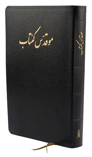 Azeri - The Holy Bible in Iranian — Aslan Christian Books