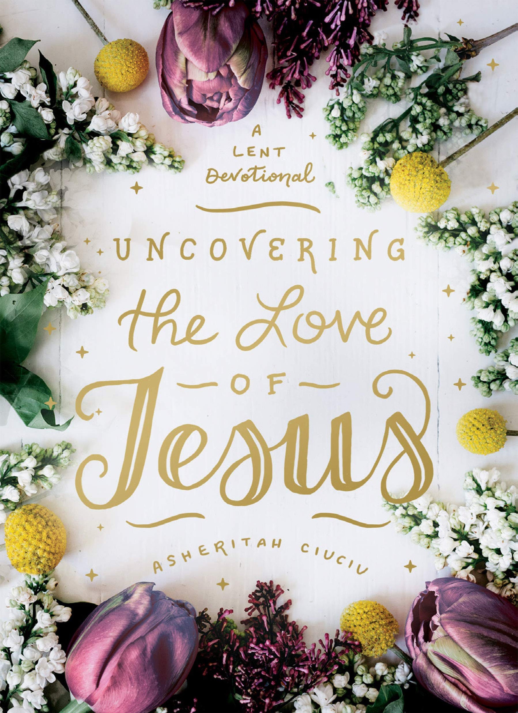 Uncovering the Love of Jesus — Aslan Christian Books